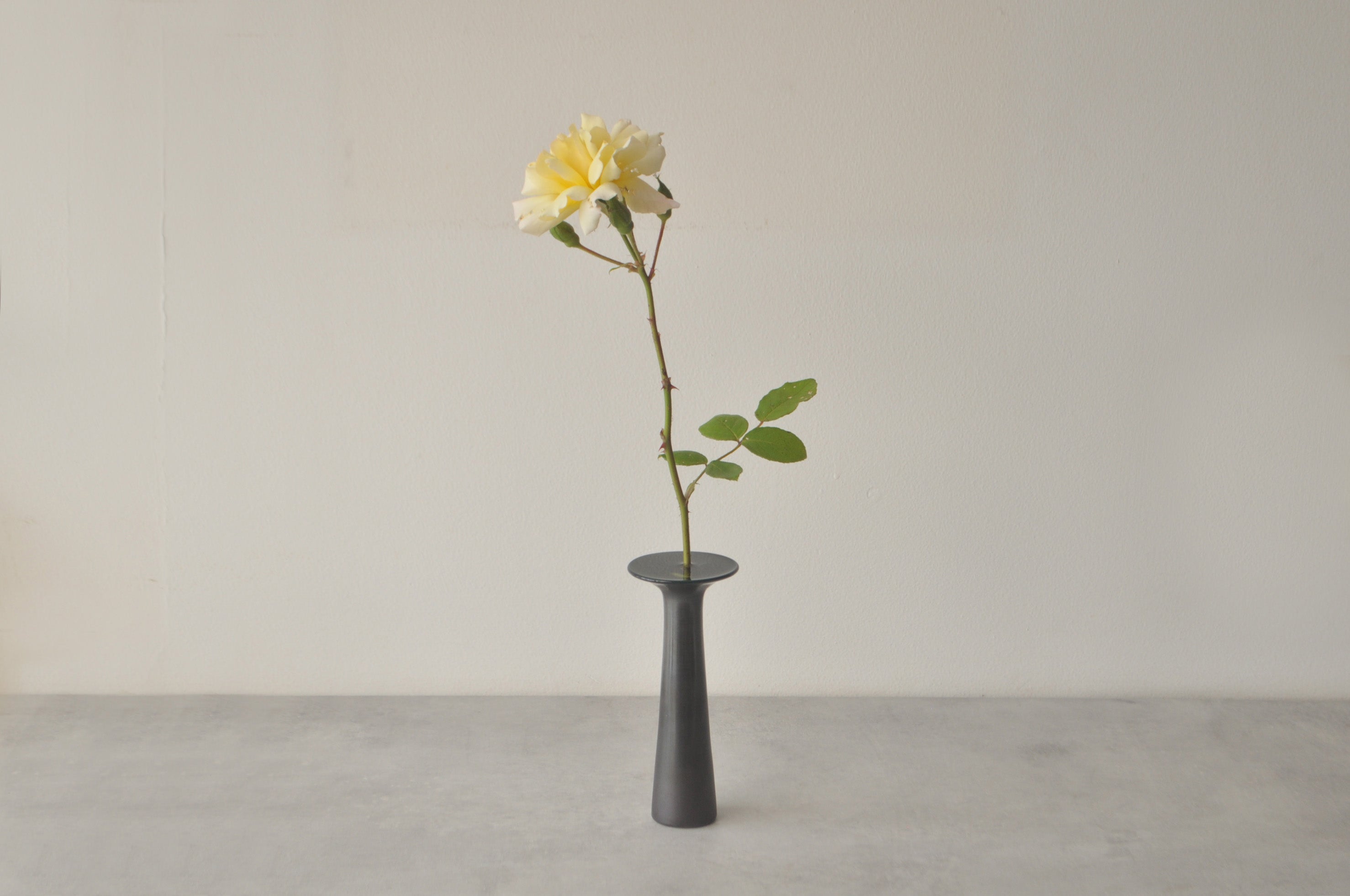 fresco Online Store – fresco shop