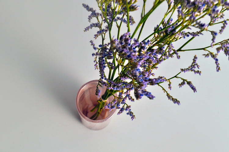 fresco Online Store – fresco shop